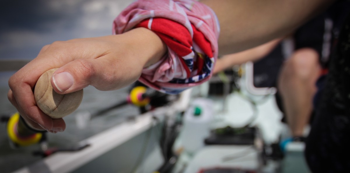 A Legacy – Guin Batten