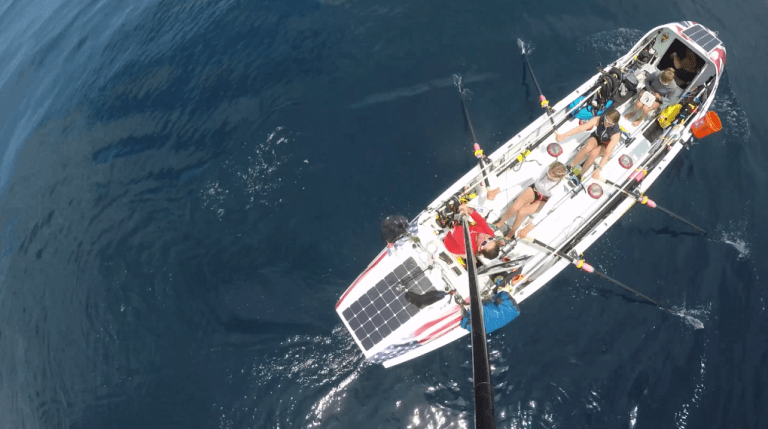 top-shot – Guin Batten